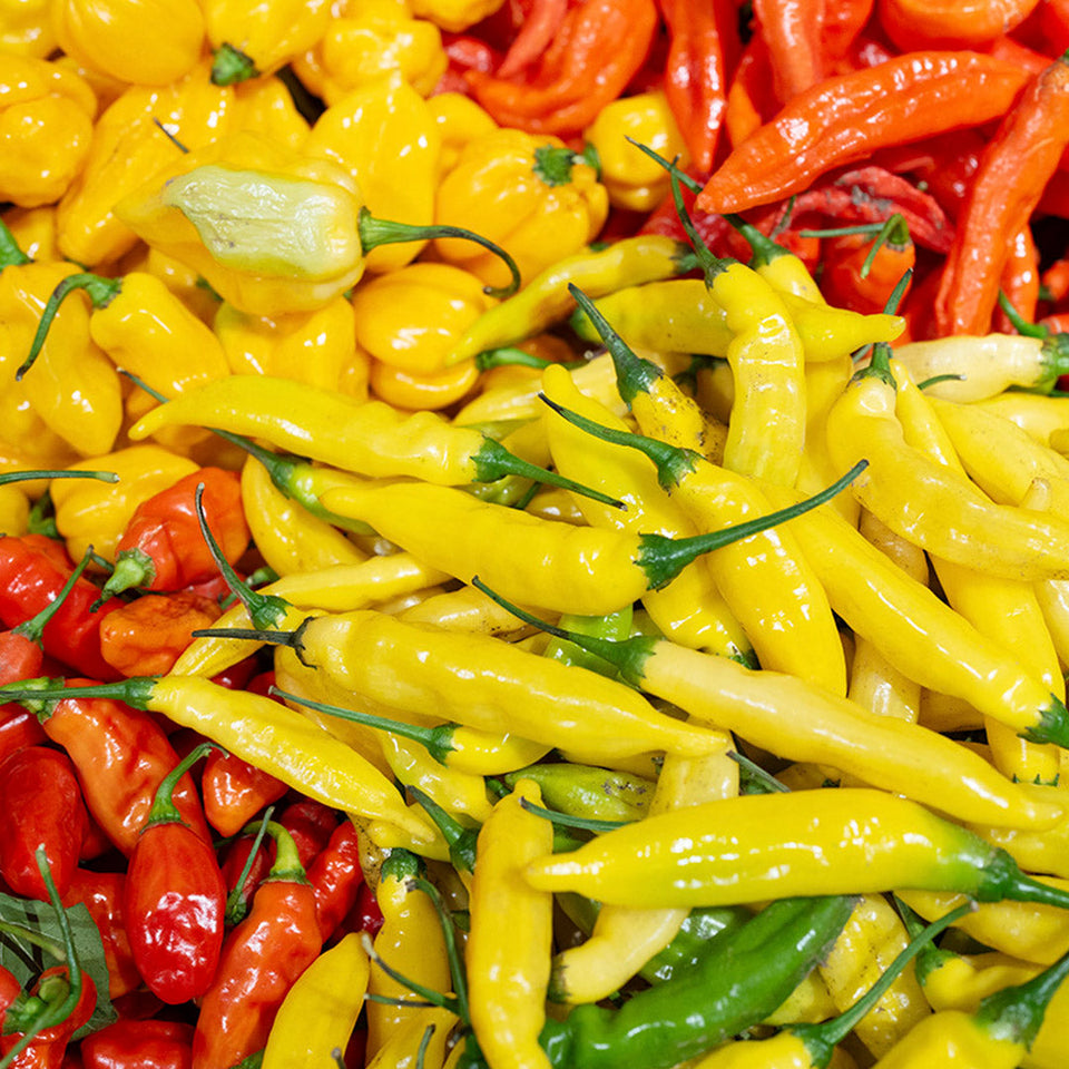 Beat Heuberger Weine-Gewürze-Delikatessen