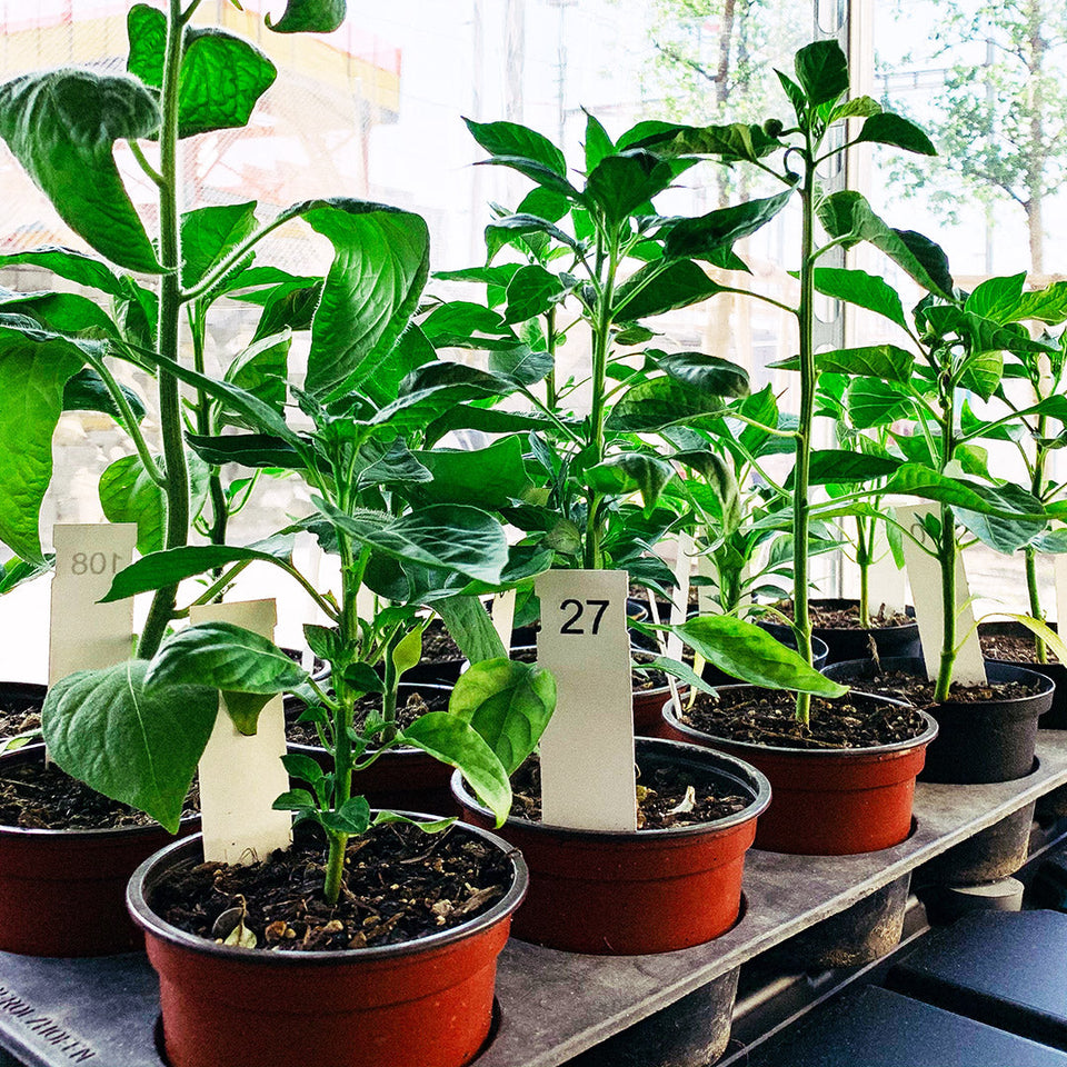 Beat Heuberger Weine-Gewürze-Delikatessen