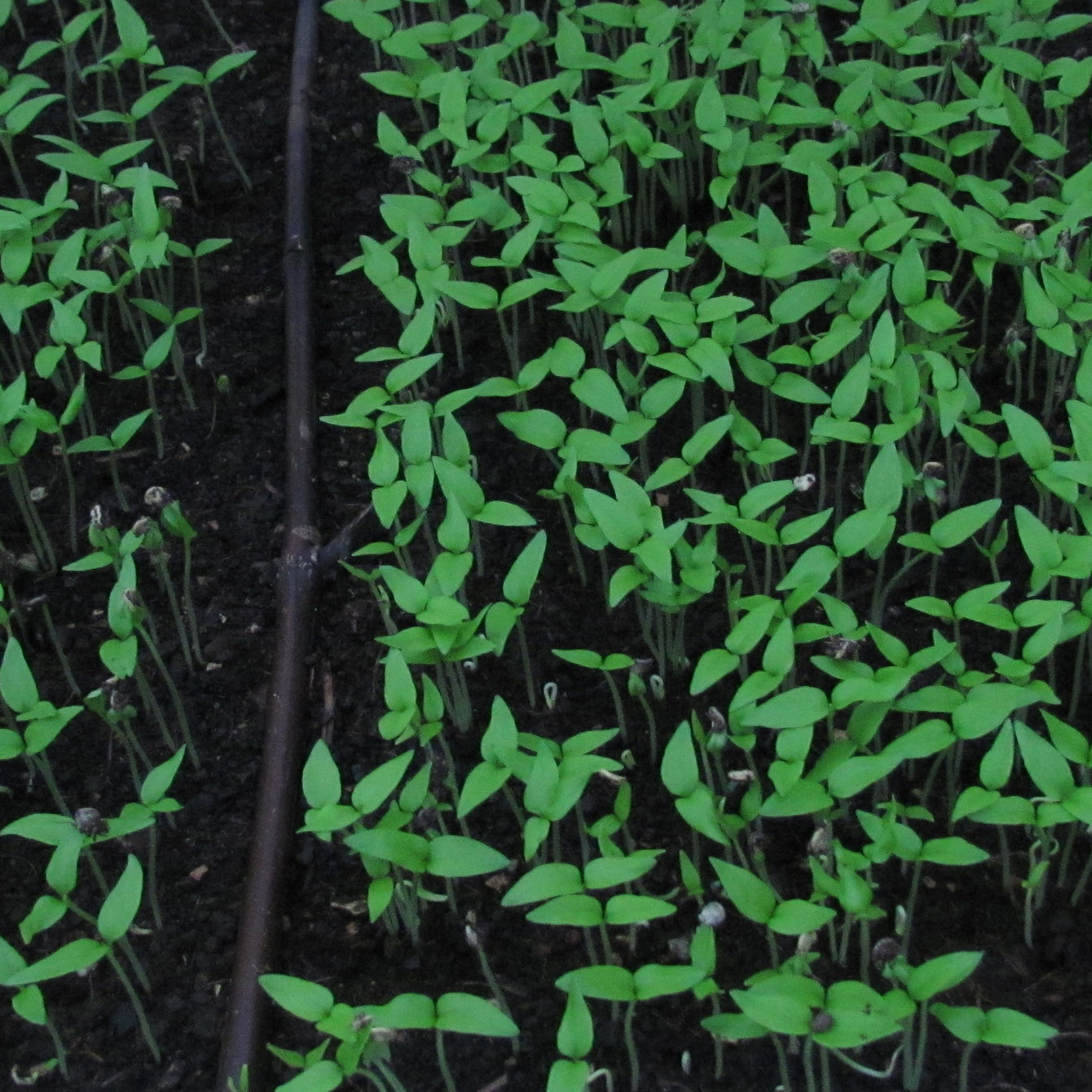 Beat Heuberger Weine-Gewürze-Delikatessen